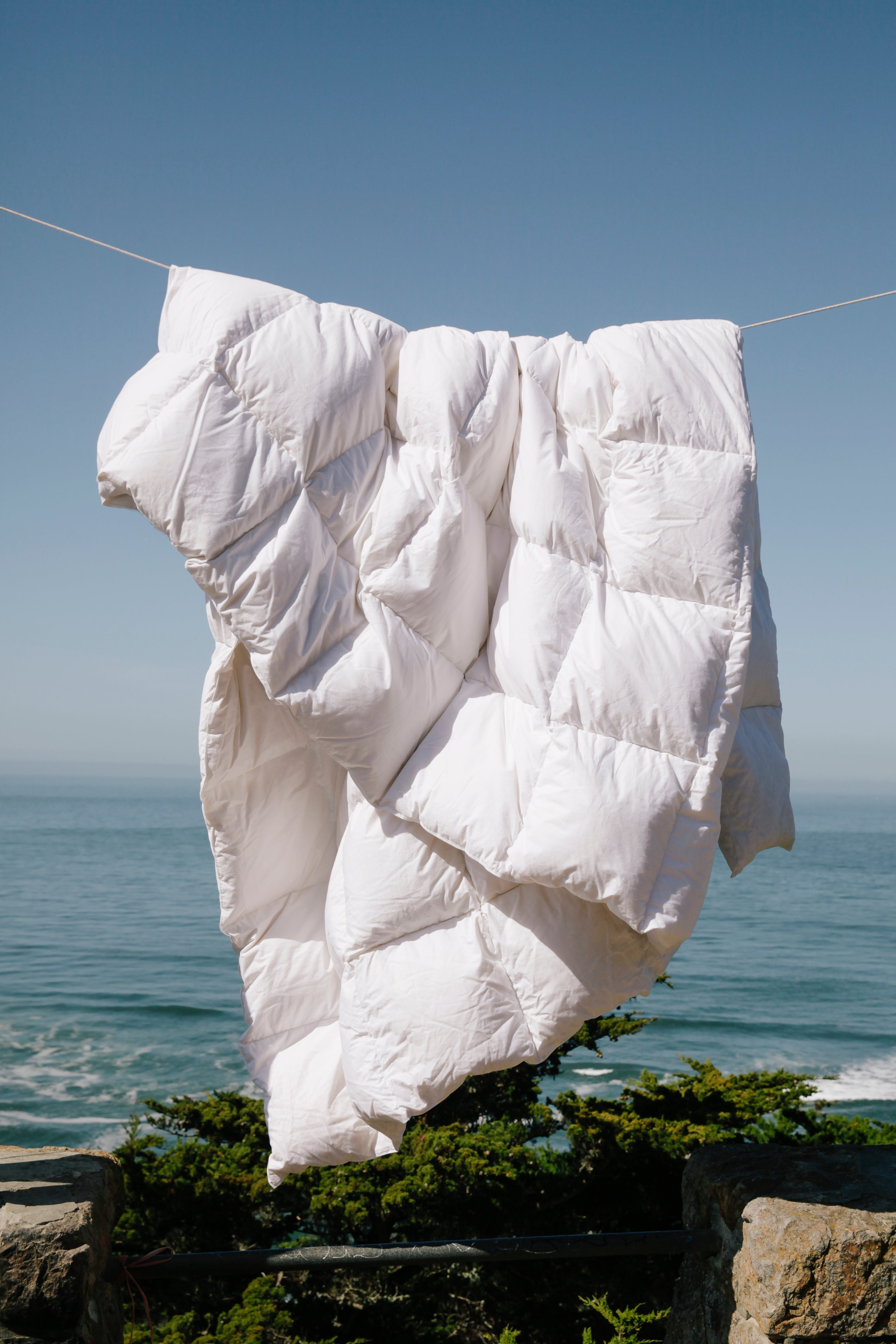 Semi-Annual Event – Coyuchi