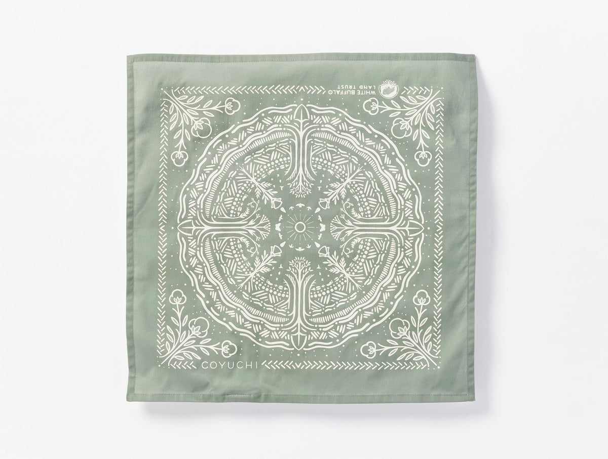 White Buffalo Land Trust Bandana Napkins, Set of 4 – Coyuchi